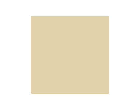 Harmonic Tan SW6136 Paint by Sherwin-Williams - modlar.com