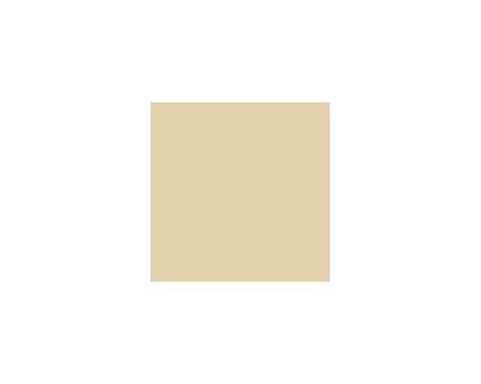 Harmonic Tan SW6136 Paint by Sherwin-Williams - modlar.com