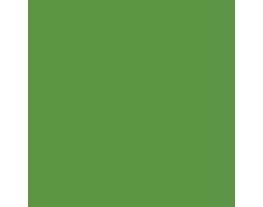 Houseplant SW6727 Paint by Sherwin-Williams - modlar.com