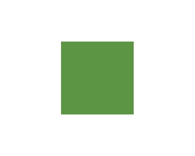 Houseplant SW6727 Paint by Sherwin-Williams - modlar.com