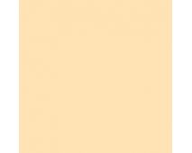 Hubbard Squash SW0044 Paint by Sherwin-Williams - modlar.com