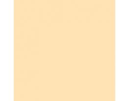 Hubbard Squash SW0044 Paint by Sherwin-Williams - modlar.com