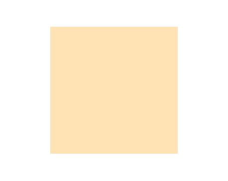 Hubbard Squash SW0044 Paint by Sherwin-Williams - modlar.com