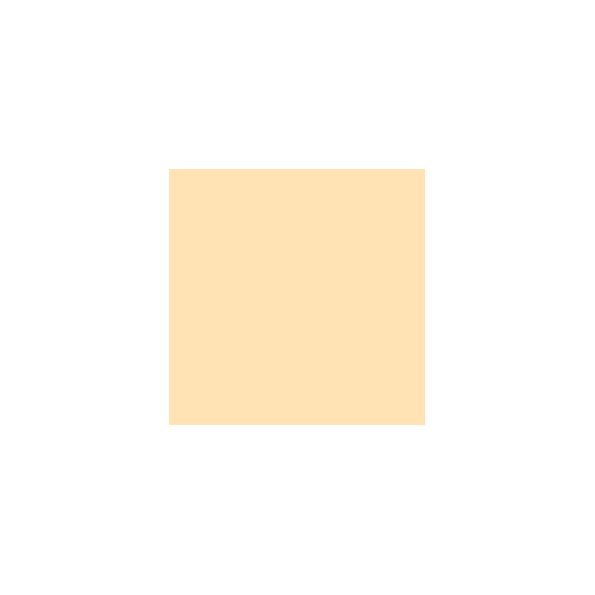Hubbard Squash SW0044 Paint by Sherwin-Williams - modlar.com