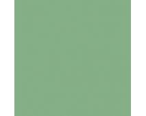 Inland SW6452 Paint by Sherwin-Williams - modlar.com