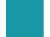 Intense Teal SW6943 Paint by Sherwin-Williams - modlar.com