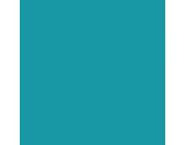 Sherwin Williams Intense Teal