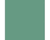 Jadite SW6459 Paint by Sherwin-Williams - modlar.com