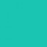 Jargon Jade SW6753 Paint by Sherwin-Williams - modlar.com