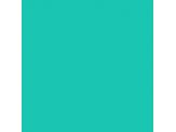Jargon Jade SW6753 Paint by Sherwin-Williams - modlar.com