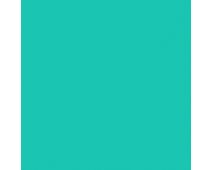 Jargon Jade SW6753 Paint by Sherwin-Williams - modlar.com