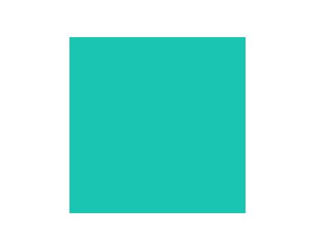 Jargon Jade SW6753 Paint by Sherwin-Williams - modlar.com