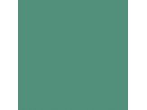Kendal Green SW6467 Paint by Sherwin-Williams - modlar.com