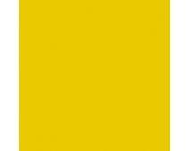 Kingdom Gold SW6698 Paint by Sherwin-Williams - modlar.com