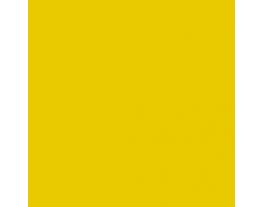 Kingdom Gold SW6698 Paint by Sherwin-Williams - modlar.com