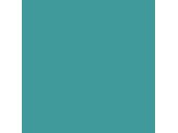Lagoon SW6480 Paint by Sherwin-Williams - modlar.com