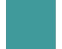 Lagoon SW6480 Paint by Sherwin-Williams - modlar.com