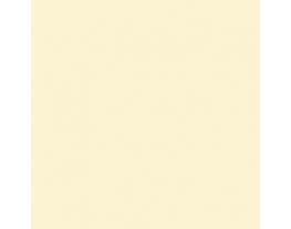 Lantern Light SW6687 Paint by Sherwin-Williams - modlar.com