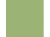 Leapfrog SW6431 Paint by Sherwin-Williams - modlar.com