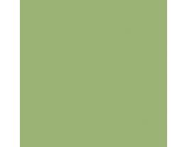 Leapfrog SW6431 Paint by Sherwin-Williams - modlar.com