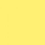 Lemon Twist SW6909 Paint by Sherwin-Williams - modlar.com