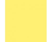 Lemon Twist SW6909 Paint by Sherwin-Williams - modlar.com
