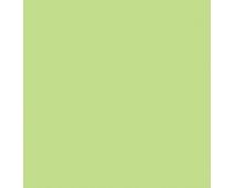 Lime Rickey SW6717 Paint by Sherwin-Williams - modlar.com