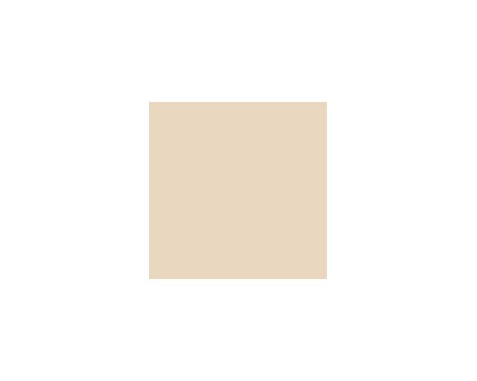 Macadamia SW6142 Paint by Sherwin-Williams - modlar.com