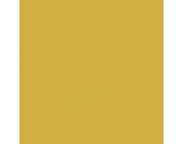 Nankeen SW6397 Paint by Sherwin-Williams - modlar.com