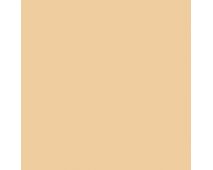 New Colonial Yellow SW2853 Paint by Sherwin-Williams - modlar.com