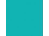 Nifty Turquoise SW6941 Paint by Sherwin-Williams - modlar.com