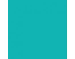 Nifty Turquoise SW6941 Paint by Sherwin-Williams - modlar.com