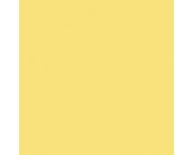 Overjoy SW6689 Paint by Sherwin-Williams - modlar.com