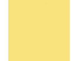 Overjoy SW6689 Paint by Sherwin-Williams - modlar.com