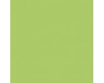 Overt Green SW6718 Paint by Sherwin-Williams - modlar.com