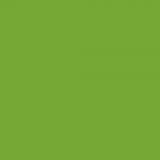 Paradise SW6720 Paint by Sherwin-Williams - modlar.com