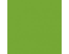 Paradise SW6720 Paint by Sherwin-Williams - modlar.com