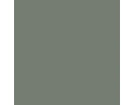 Pewter Green SW6208 Paint by Sherwin-Williams - modlar.com