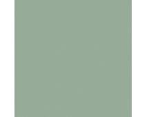 Privilege Green SW6193 Paint by Sherwin-Williams - modlar.com