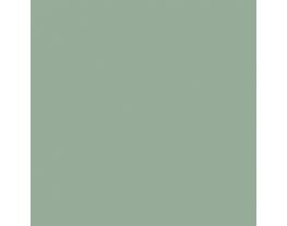 Privilege Green SW6193 Paint by Sherwin-Williams - modlar.com
