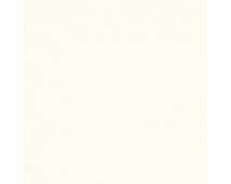 Queen Annes Lace SW6420 Paint by Sherwin-Williams - modlar.com