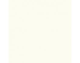 Queen Annes Lace SW6420 Paint by Sherwin-Williams - modlar.com