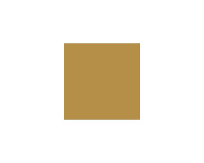 Relic Bronze SW6132 Paint by Sherwin-Williams - modlar.com