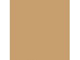 Renwick Golden Oak SW2824 Paint by Sherwin-Williams - modlar.com