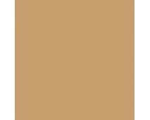 Renwick Golden Oak SW2824 Paint by Sherwin-Williams - modlar.com