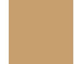 Renwick Golden Oak SW2824 Paint by Sherwin-Williams - modlar.com