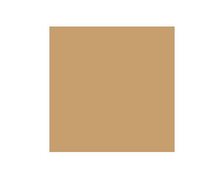 Renwick Golden Oak SW2824 Paint by Sherwin-Williams - modlar.com