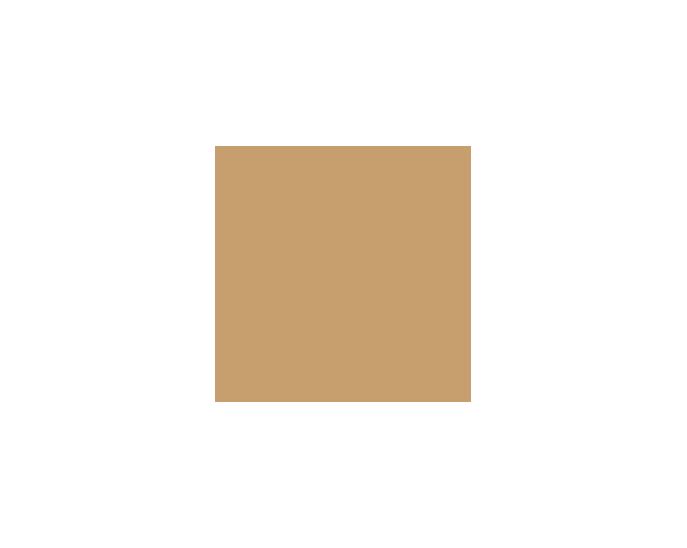 Renwick Golden Oak SW2824 Paint by Sherwin-Williams - modlar.com