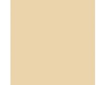 Restrained Gold SW6129 Paint by Sherwin-Williams - modlar.com