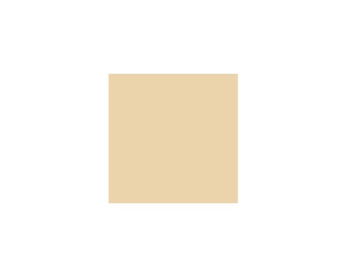 Restrained Gold SW6129 Paint by Sherwin-Williams - modlar.com